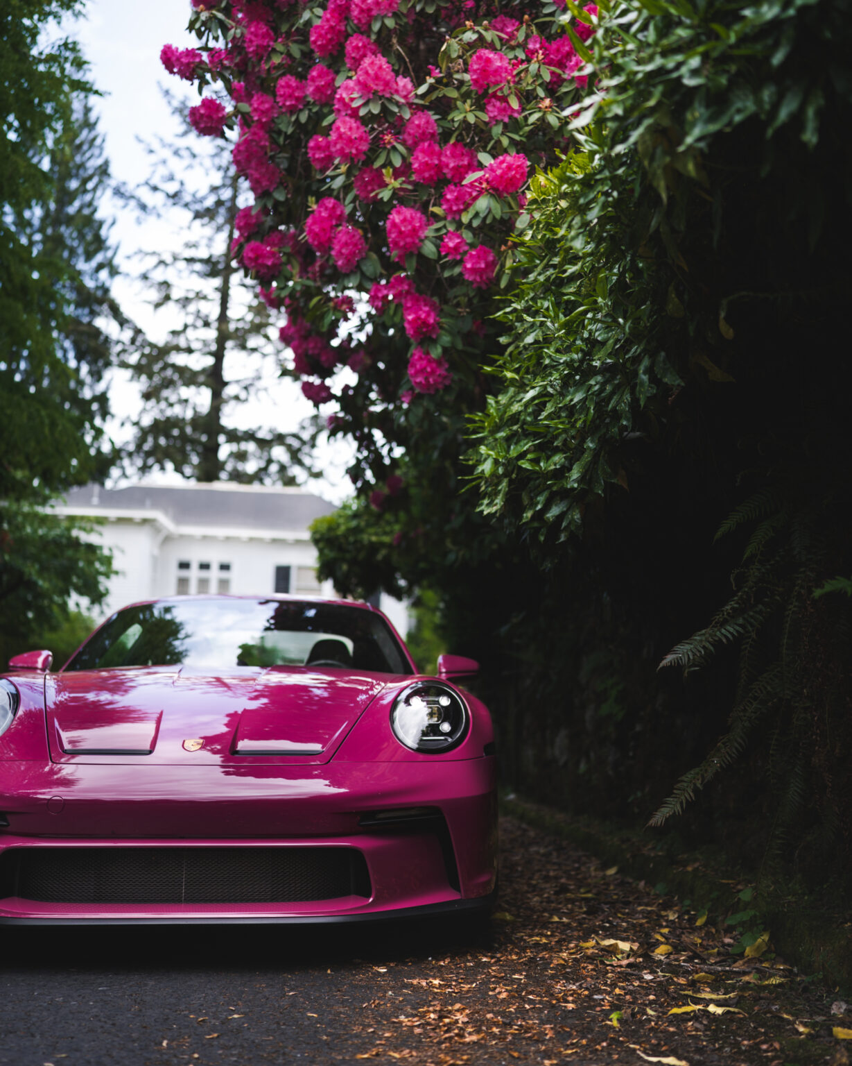 Ruby Star Neo One Of Porsche's Boldest Colours Reborn